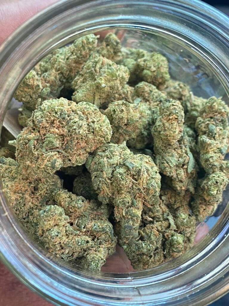 buy super silver haze strain for sale 100% free delivery